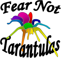 Lasiodora parahybana (Brazilian Salmon Pink, LP Tarantula) info + care ...