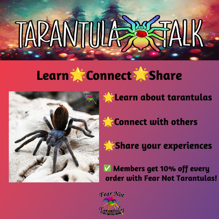 Best place to buy tarantulas! Over 10 years breeding and shipping ...